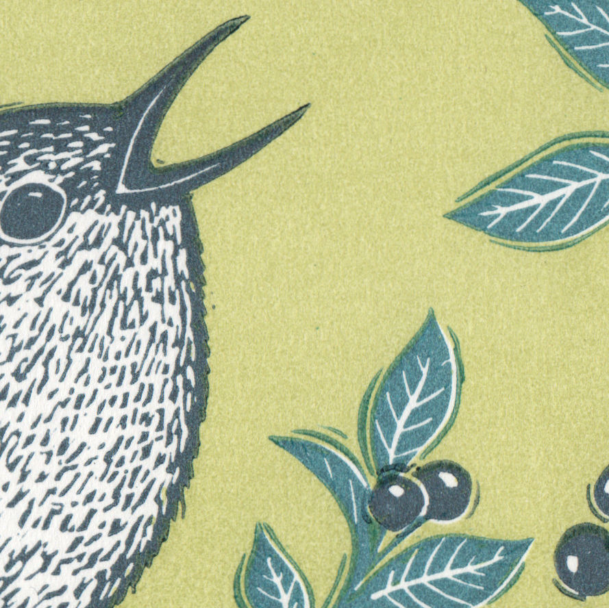 Singing Wren original linocut print | Michelle Hughes Design