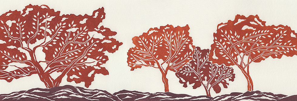 Printmaking | Linocut print landscapes and nature | Michelle Hughes Design