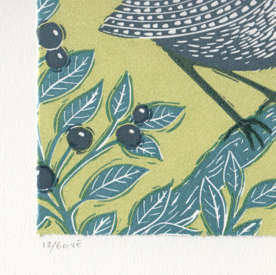 Singing Wren original linocut print | Michelle Hughes Design