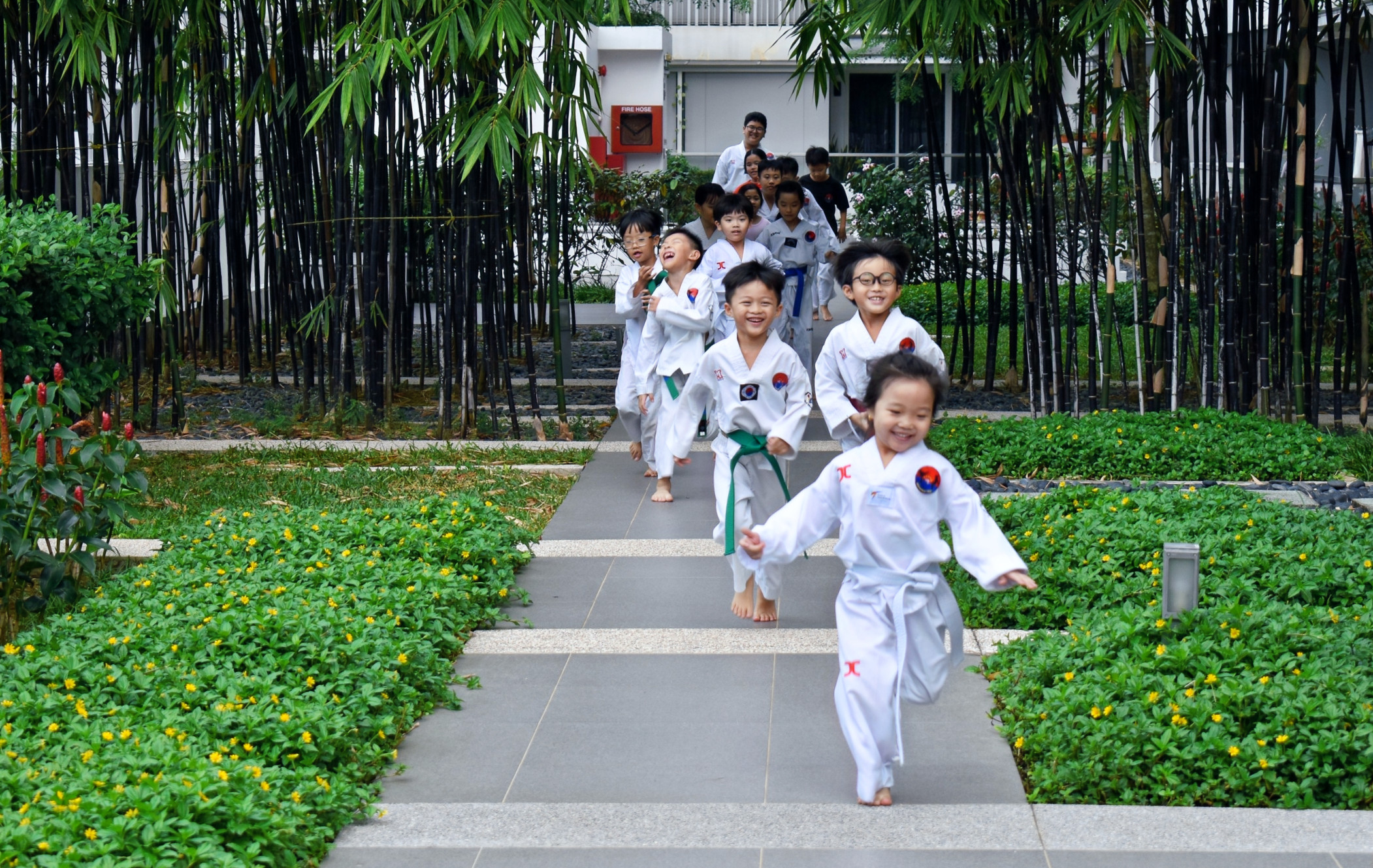 Bishan Park | Momentum Taekwondo