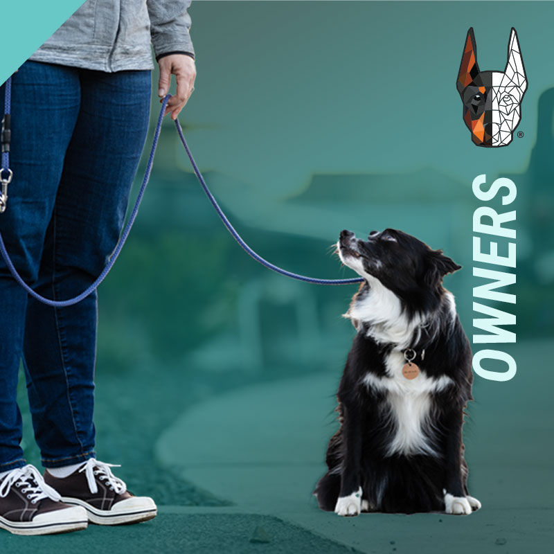 METHOD K9 HOME | Dog Training for a Modern World