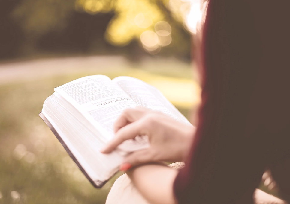 HOME | Fortify Bible Plans