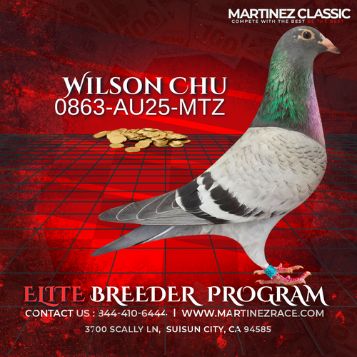Wilson Chu - 0863-AU25-MTZ | Martinez Classic OLR