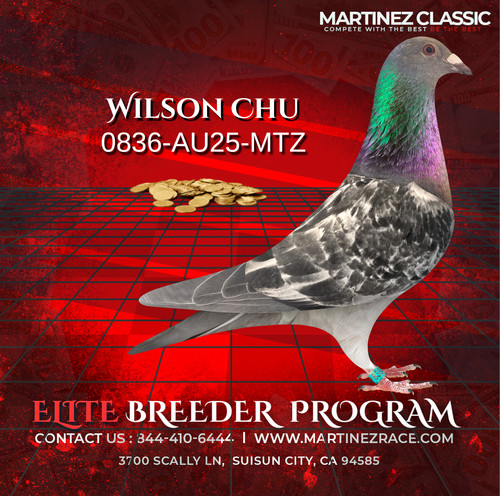Wilson Chu - 0836-AU25-MTZ | Martinez Classic OLR