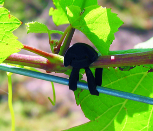 Rubber Band Tabs | producer-supply-co