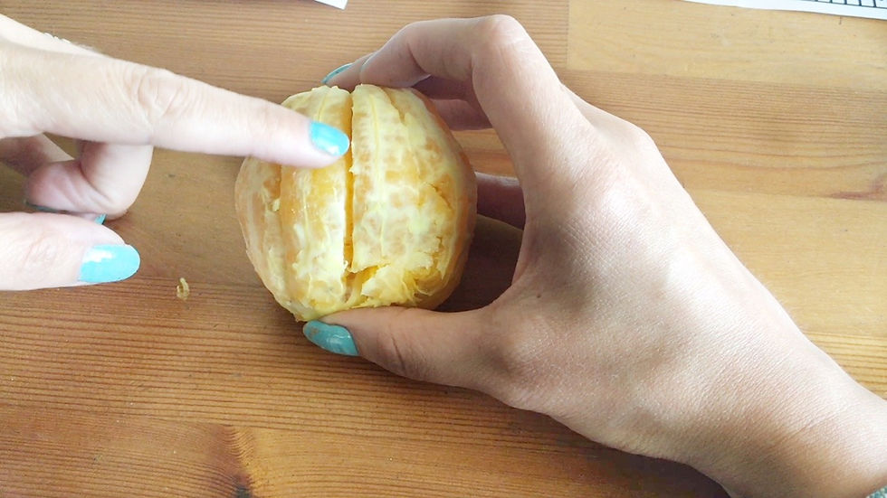 Latitude and Longitude Demonstration with Oranges