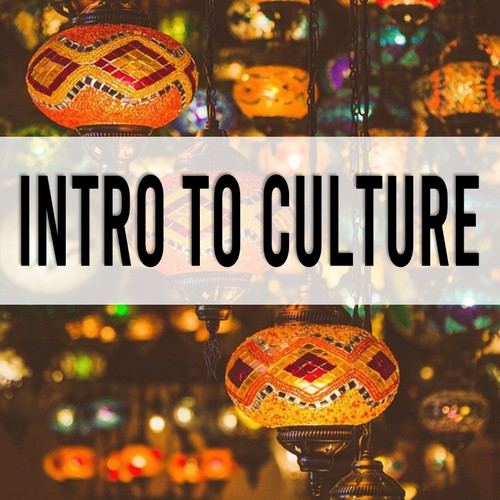 Introduction to Culture Printable Lesson and Activities | Michelle McDonald