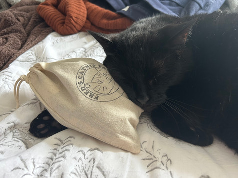 Catnip Toys | Cat Gifts