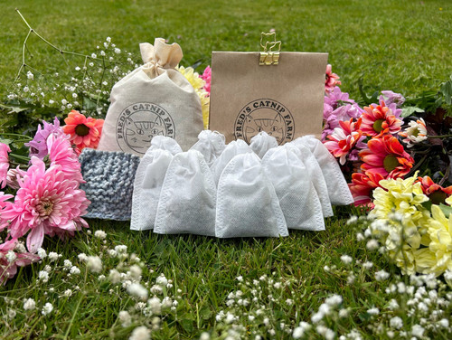 Catnip Toy | Cat Gift