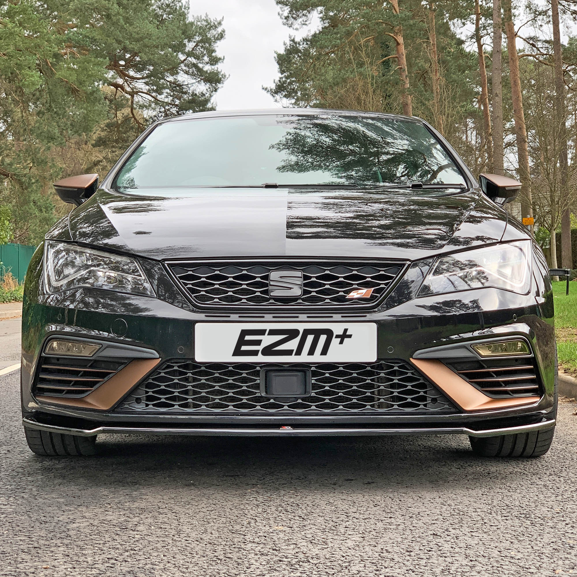 Seat Leon MK3.5 Cupra | ezmods.co 2/3