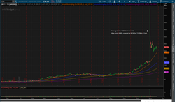 Swing Trading Alerts | Carnivore Trades