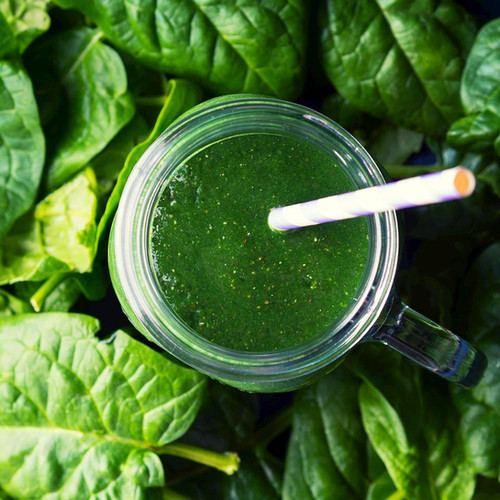 Placenta Smoothie | Lotus Placenta Servi