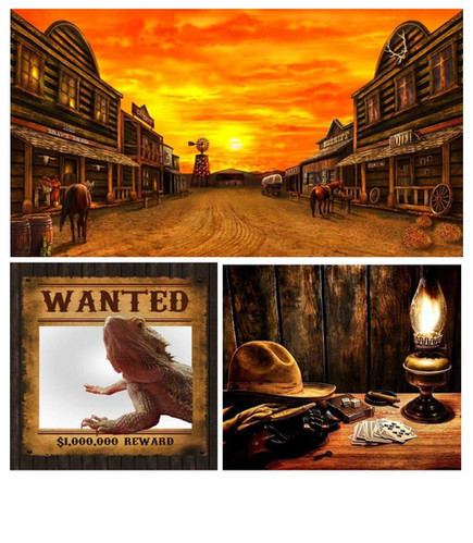 Western theme background | Viv Creations