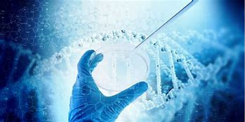 Let's Peek at Biotech Performance: What to Expect After Back-to-Back ...