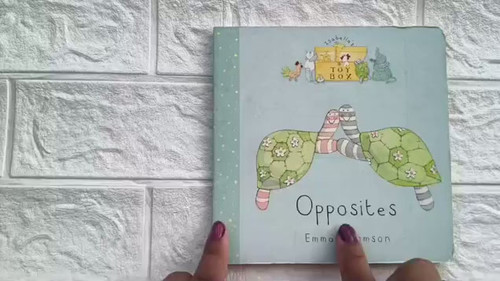 Opposites - Board Book | magicbeanbookshelf.com