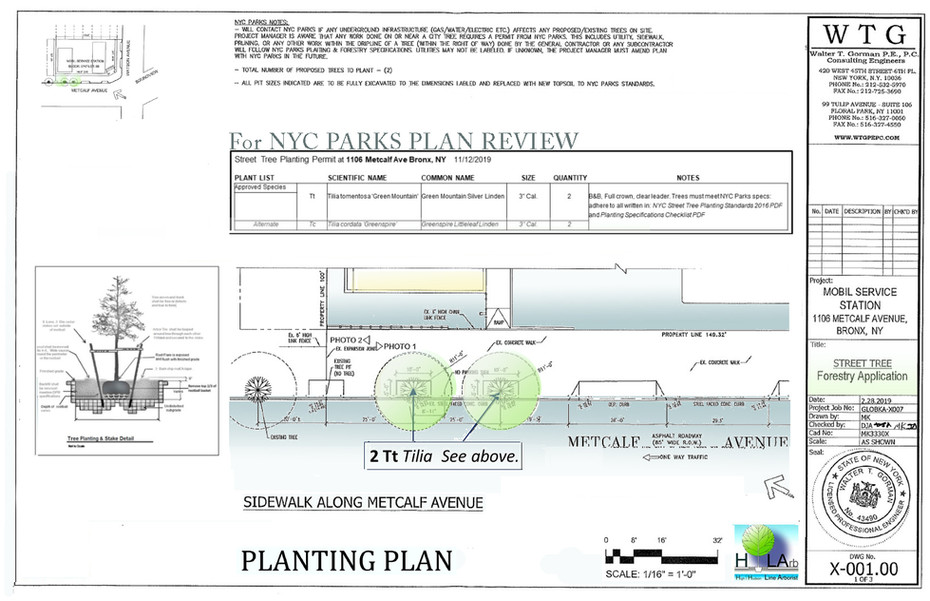 Tree Land Arch, Consulting Arborist II, Surveys NY