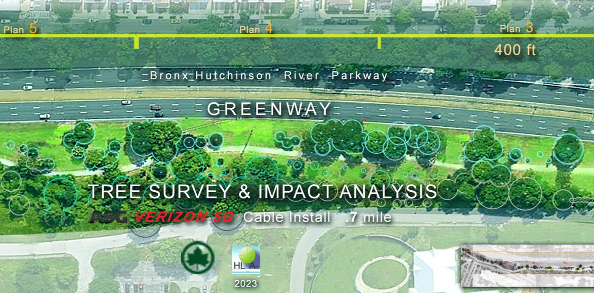 Tree Land Arch, Consulting Arborist II, Surveys NY