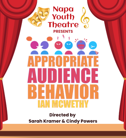 Digital Video Recording - Appropriate Audience Behavior | napa-youth-theatre