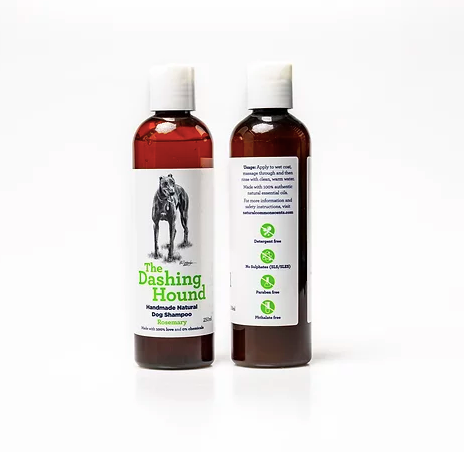 The Dashing Hound Dog Shampoo Rosemary 250ml | Louis and Phoebe