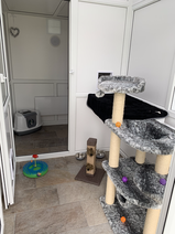 Cattery Gallery | Oaklands Country Cat