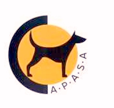 APASA Animal Welfare Association | Adopt a dog Spain | Camí de les ...