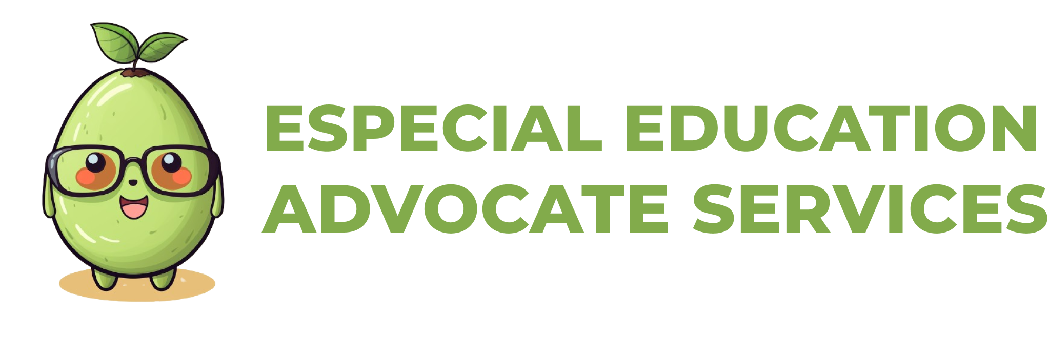 The Special Education Advocates of Massachusetts | Special Education ...