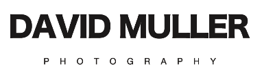 HOME | David Muller
