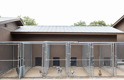 Melodys Pet Ranch | Dog and cat boarding kennel | 31461 Rice Rd ...