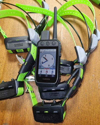 Pack 5 colliers TT15 + Garmin Reperage ; Dressage Telecommande Alpha ...