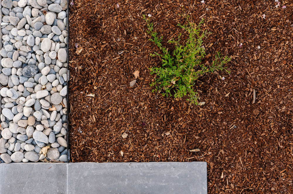 The Truth About Mulch