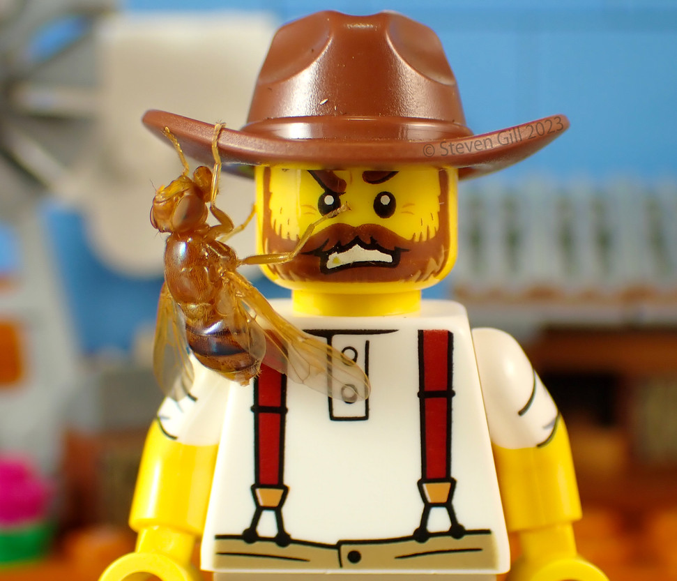 Gone Buggo | entertaining wildlife education