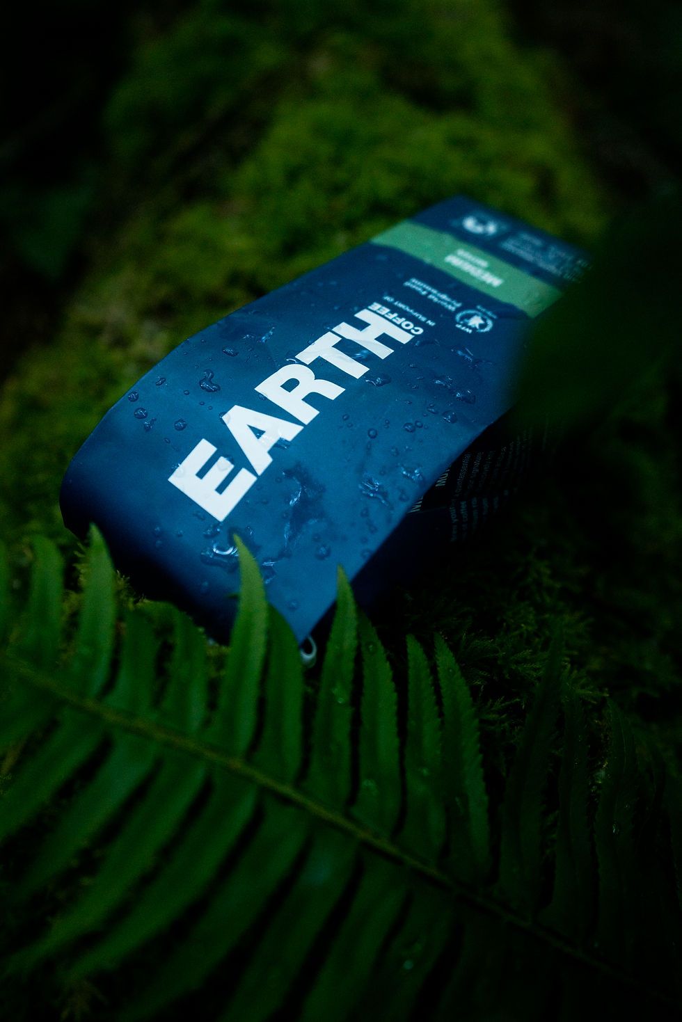 HOME | The Earth Group