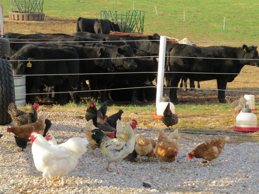 Home | Z&Z Farms and Z&Z Acres