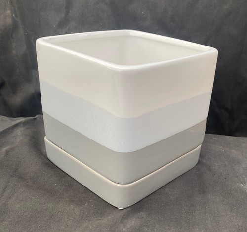 Striped Pot With Saucer | Triffid Park