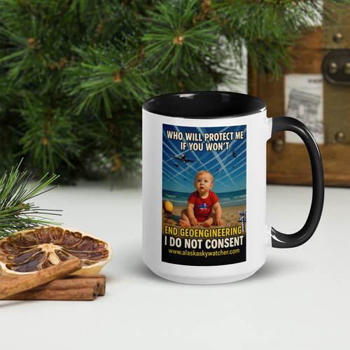 Mug with Color Inside | Alaska Sky Watcher