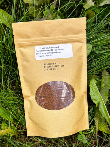 Fine Ground & Dried Chaga | Mushroom Will