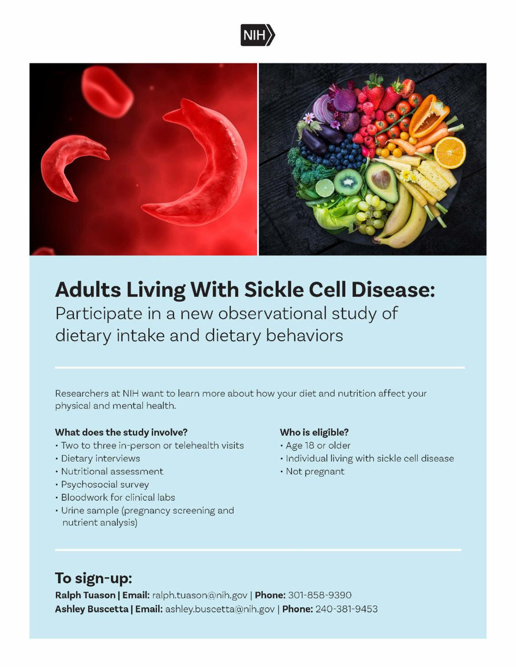 Blog | MichellesHouseCT