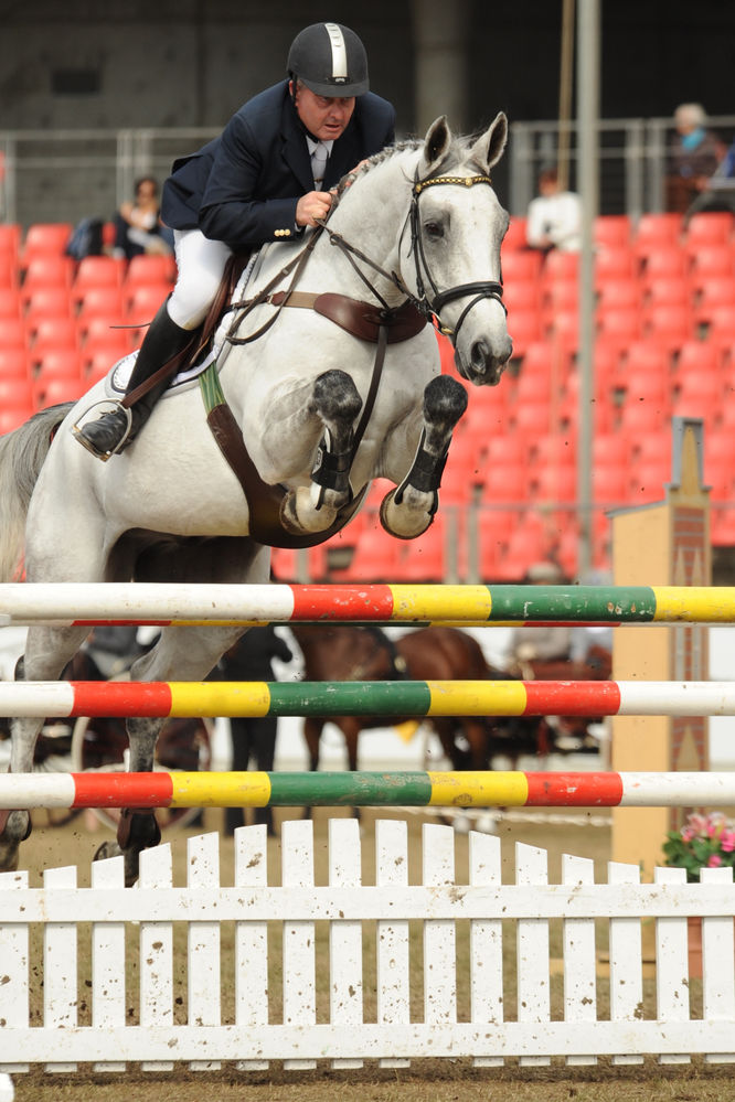 Showjumping - An Equestrian Discipline Part 1