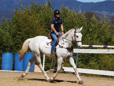 Adult lessons | forestpark