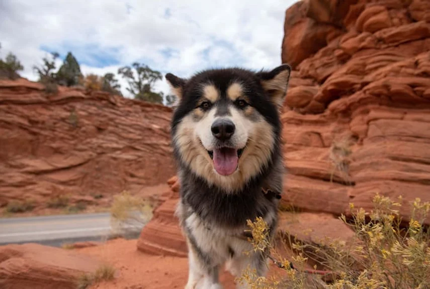 Belly of the Dragon: A Hiking Guide