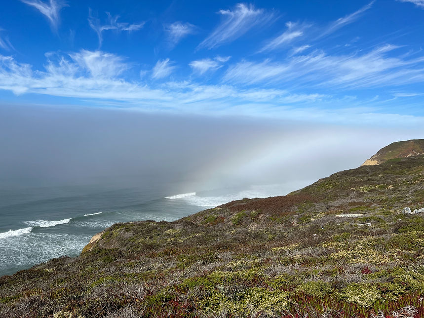 Nature, Wildlife, Bird, and Portrait Photography | Barbara Coll Photography