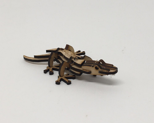 Gecko Puzzle | Team Magma Robotics