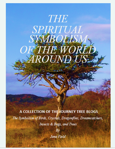 The Spiritual Symbolism of the World Around Us | journey-tree
