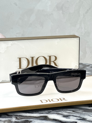 DIOR | Dior Oblique S3i | luxeyeoptical