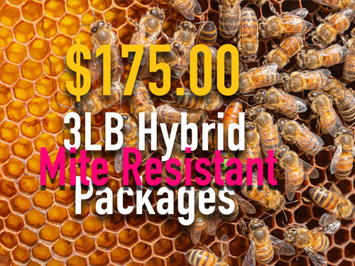3 lb. Honey Bee Packages- Mite Resistant