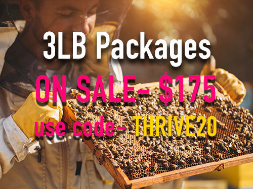 3 lb. Honey Bee Packages- Mite Resistant