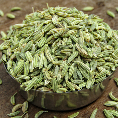 Fennel | The Travelling Apoth