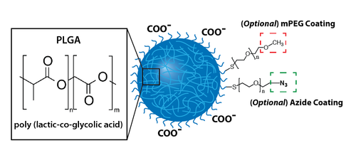 PLGA Nanoparticles - CUSTOM SYNTHESIS | Luna Nanotech