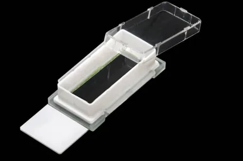 Cell Culture Chamber Slides, 1 well w/glass slide, White, 9.40 cm2, 2.5 ...