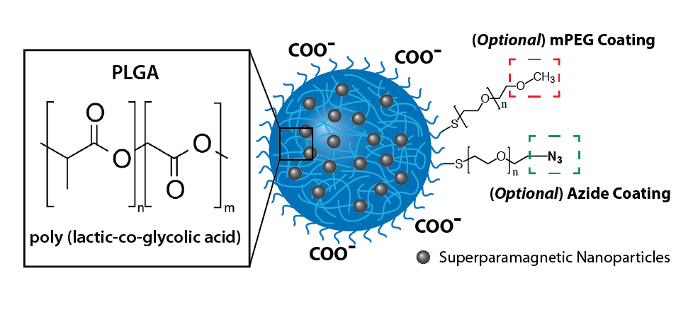 PLGA Magnetic Fluorescent Nanoparticles | Luna Nanotech Inc. | Toronto ...